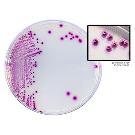 HardyCHROM™ MRSA - Ryvex